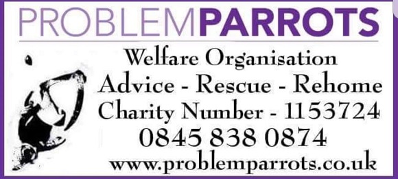 About Problem Parrots - Northern Parrots