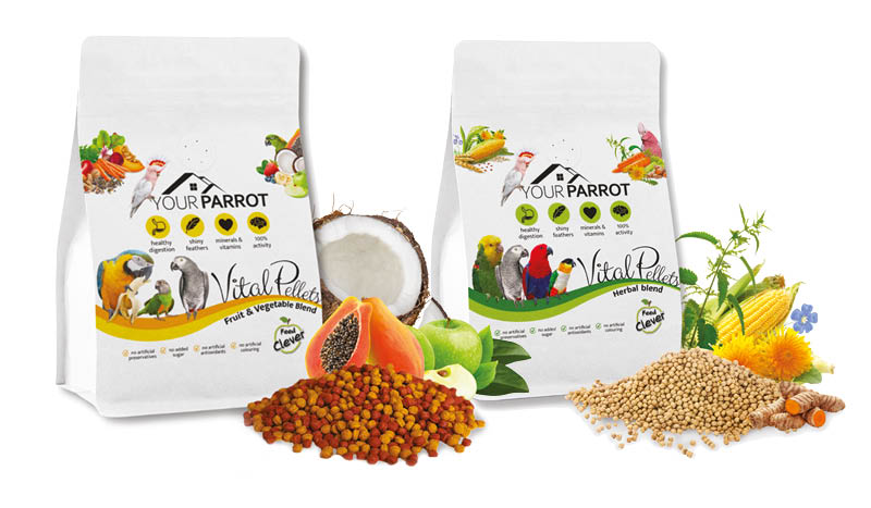 Northern Parrots Simple Nutrition Plan - Northern Parrots